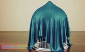 Bird Cage Covers for Winter: Protect Your Feathered Friends