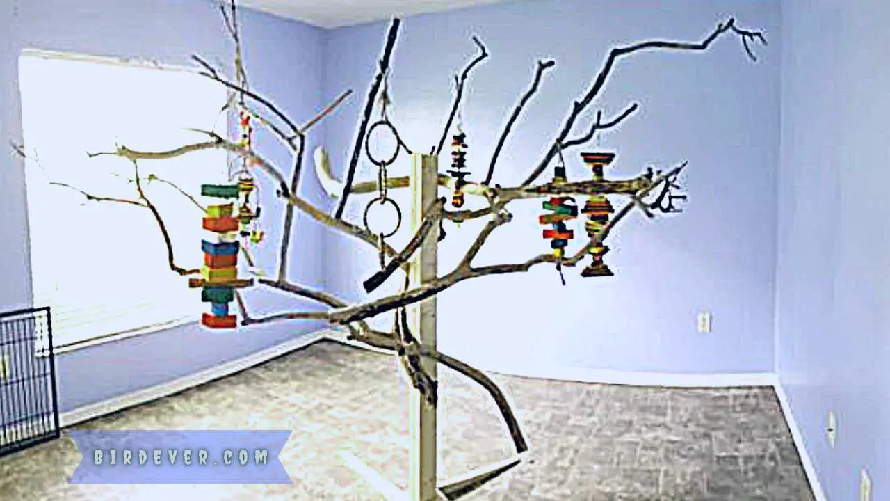 How to Make a Bird Perch Stand? A Complete DIY Guide